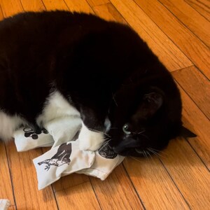 Feline Oracle Catnip Runes Cat Divination Set - Etsy