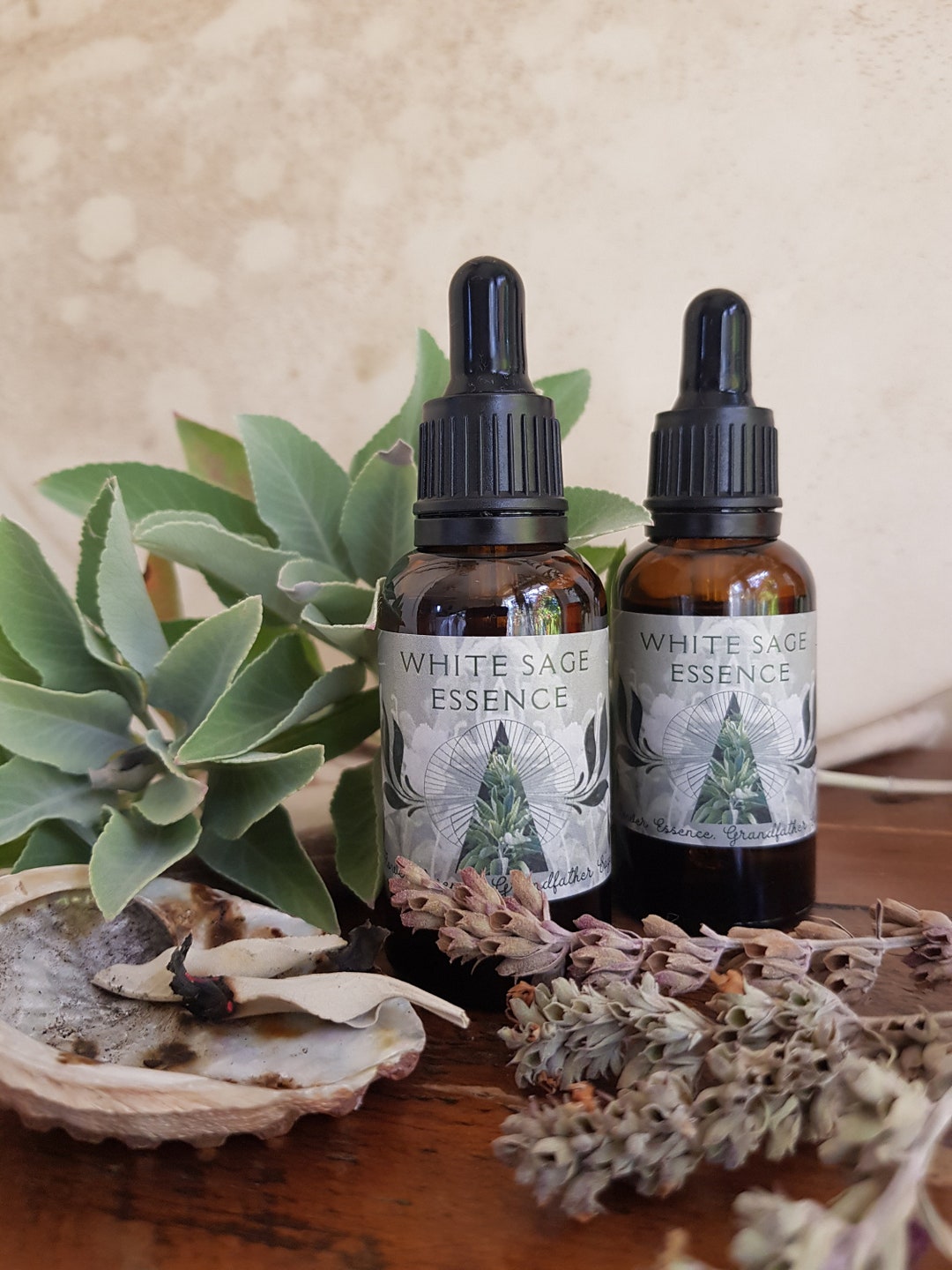 WHITE SAGE Flower Essence - Etsy
