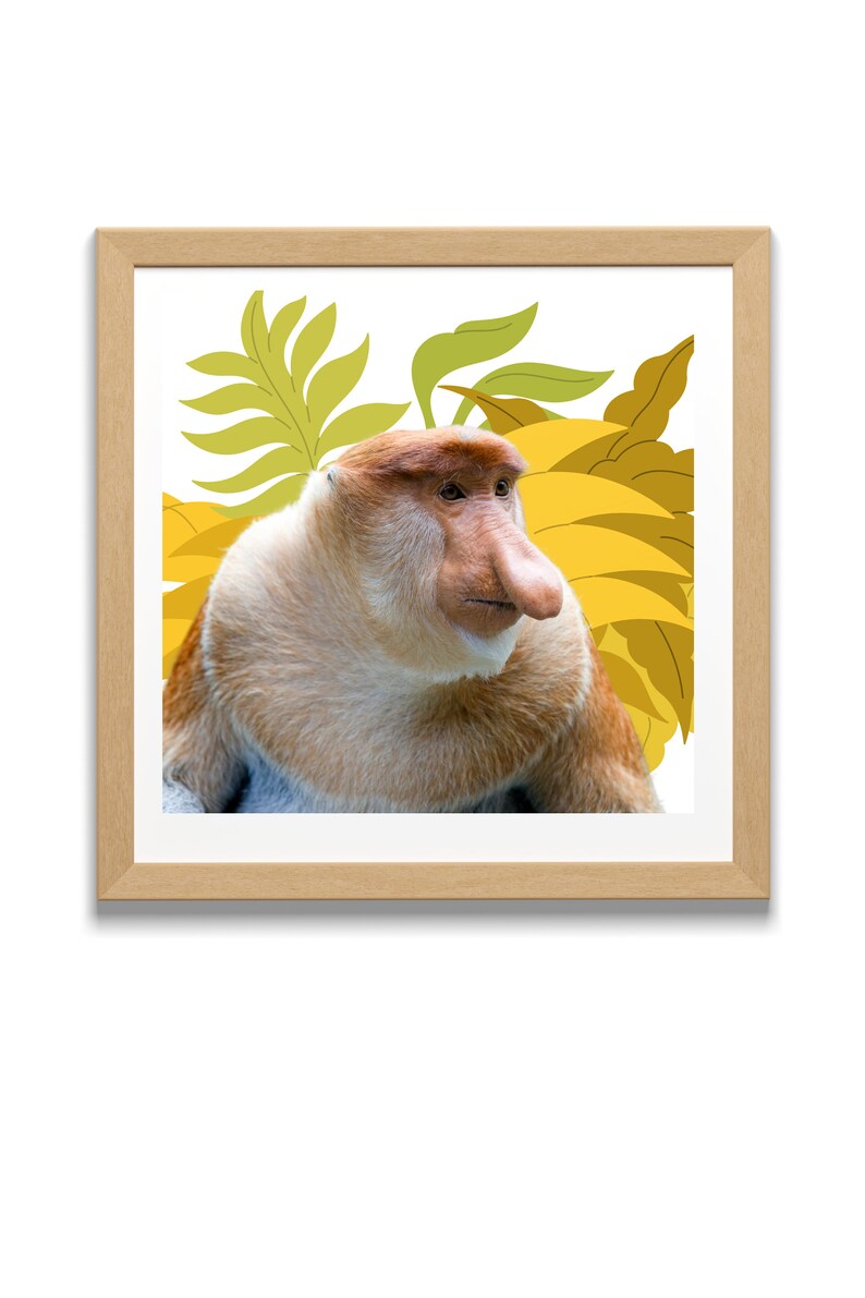BORNEO ANIMAL SERIES Digital Art Collection Proboscis Monkey - Etsy