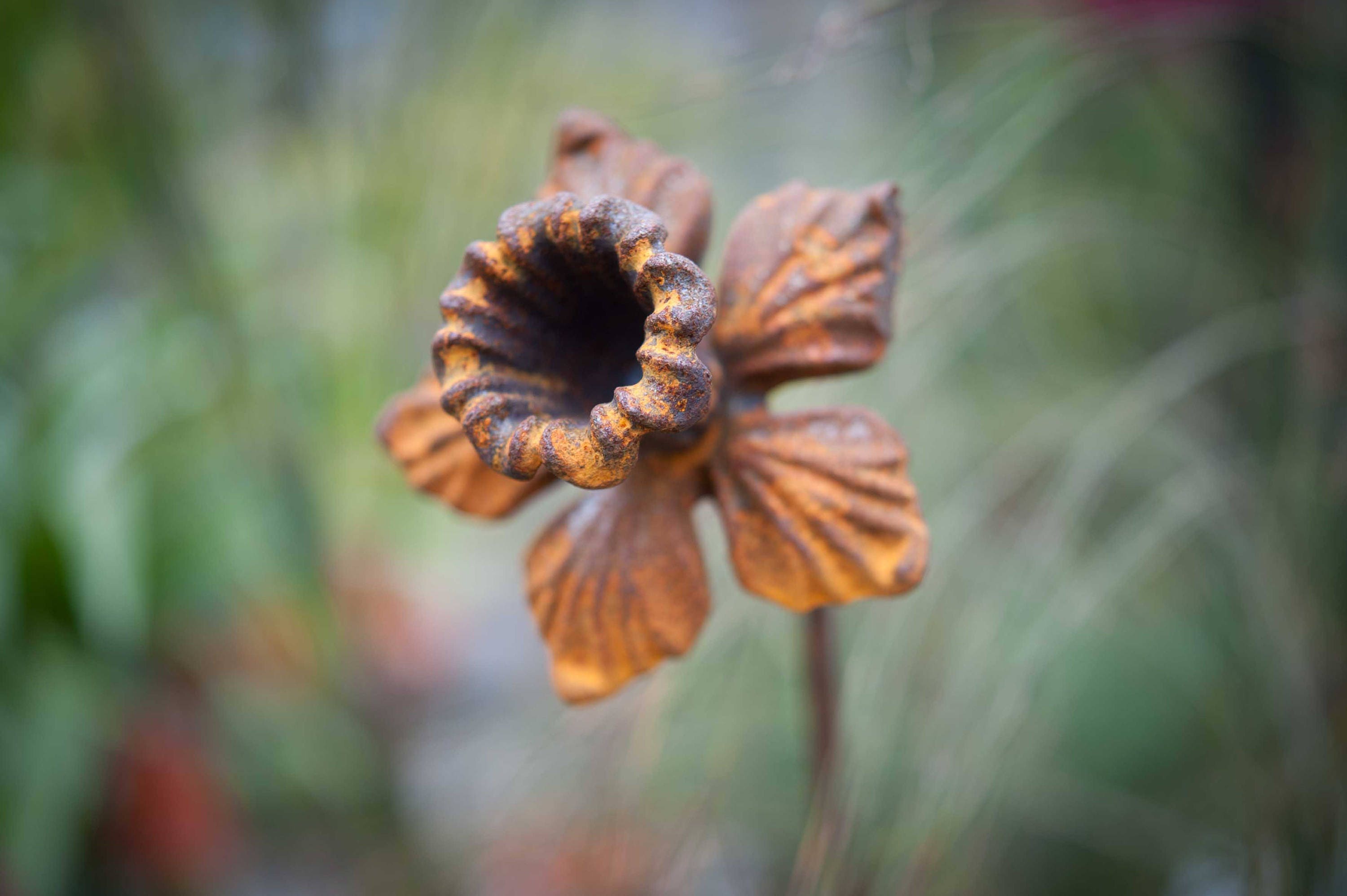 Rusty Daffodil Plant Stake - Etsy UK