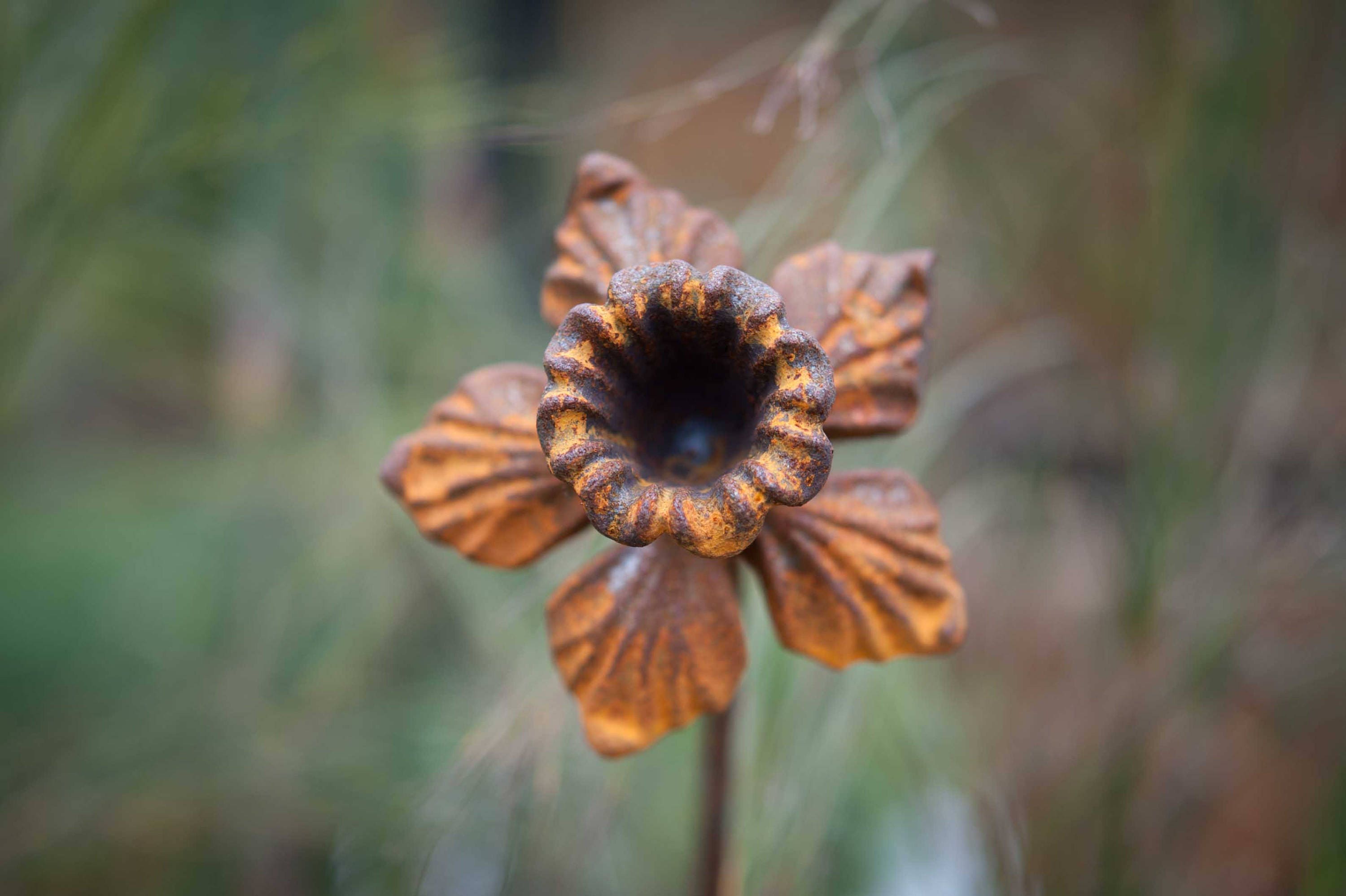 Rusty Daffodil Plant Stake - Etsy UK