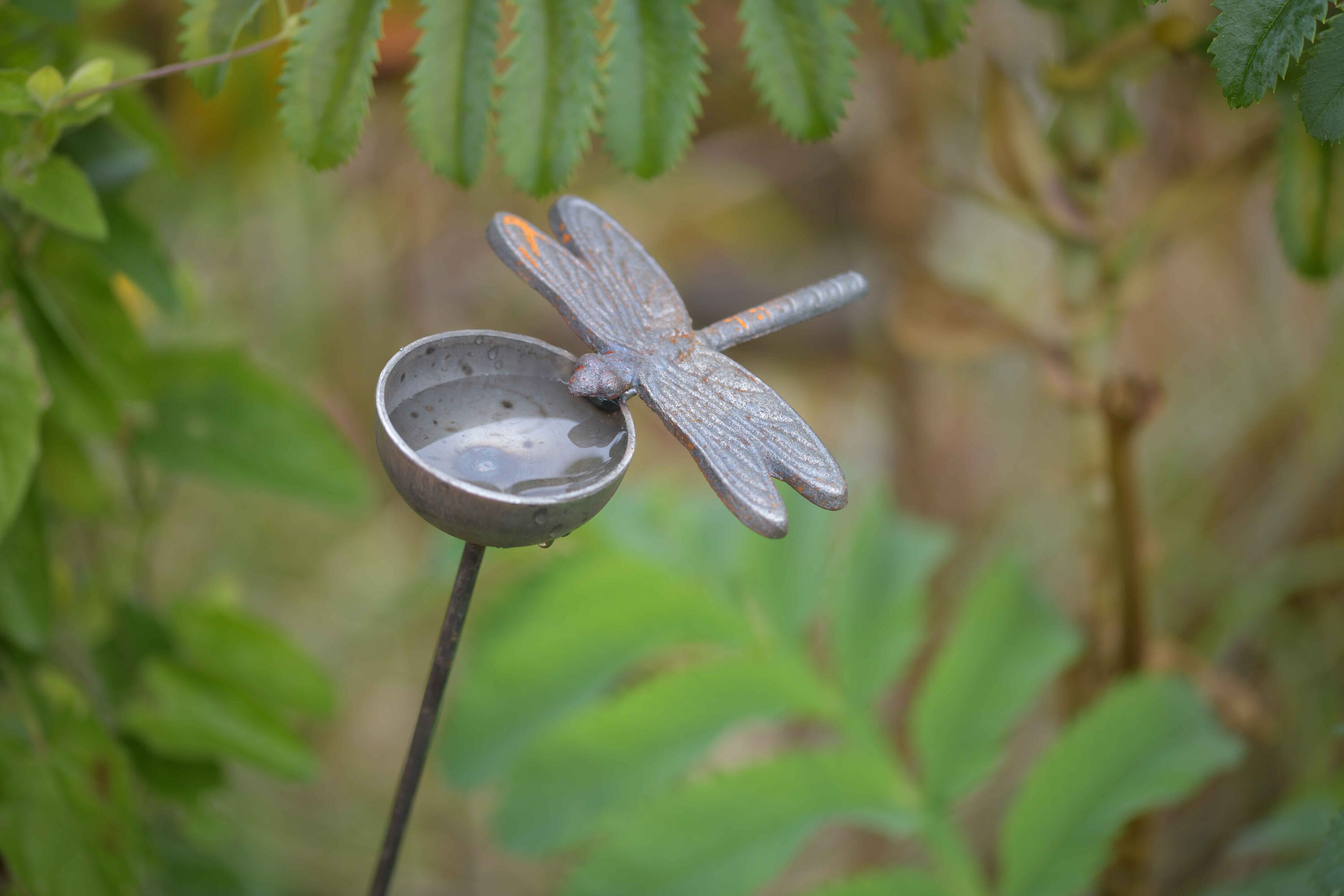 Dragonfly Rain Catcher - Etsy UK