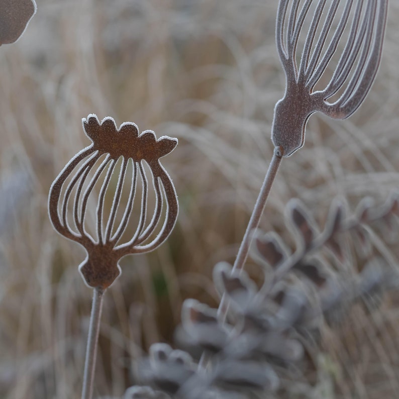 Metal Poppy Seedhead Garden Sculpture - Etsy