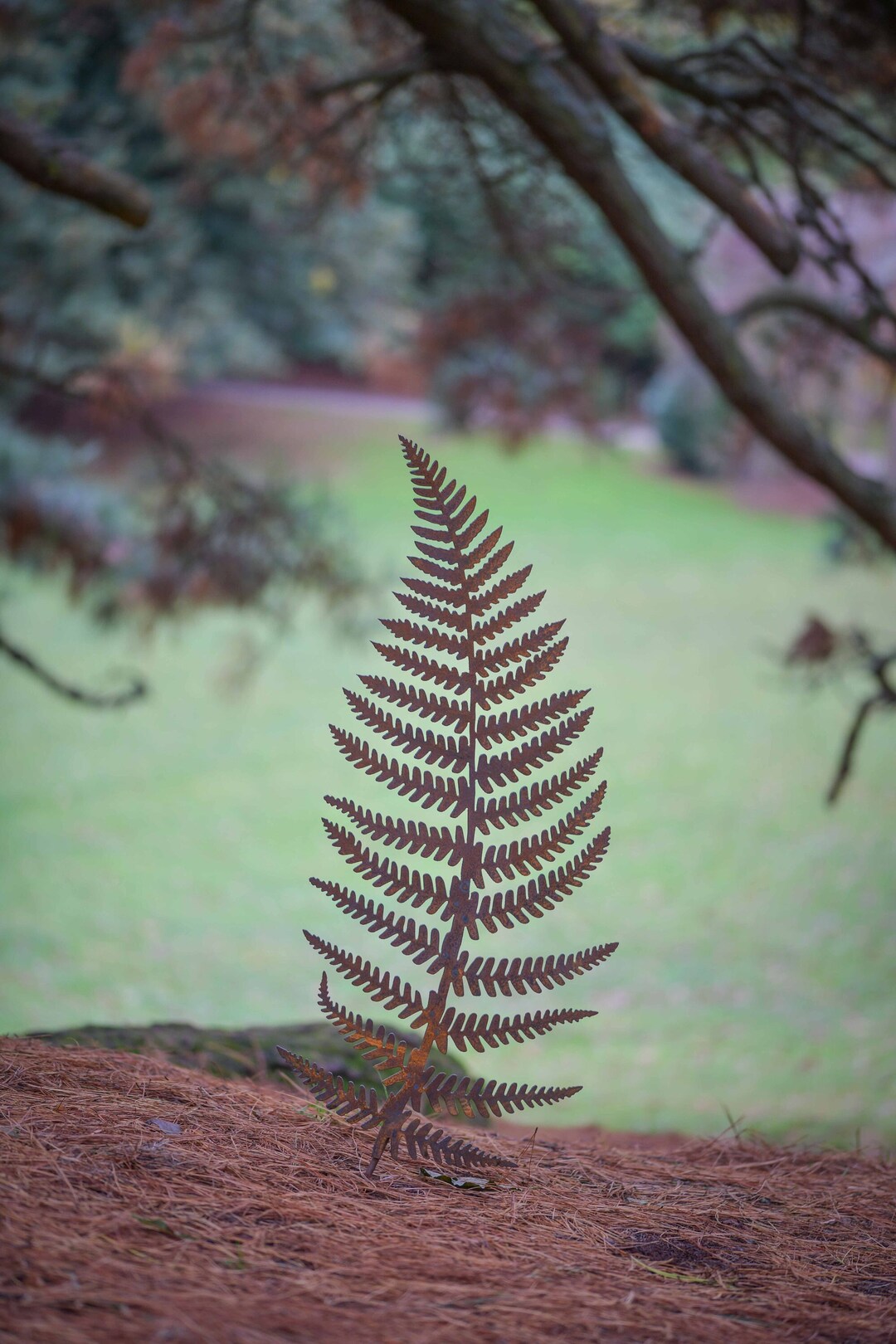 Megaphylls Fern Leaf Sculpture - Etsy UK