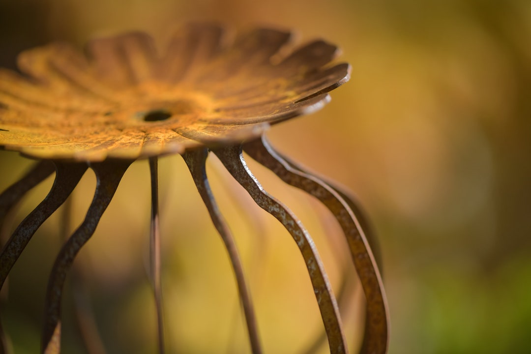 Rusty Poppy Seedhead Flower Sculpture - Etsy UK