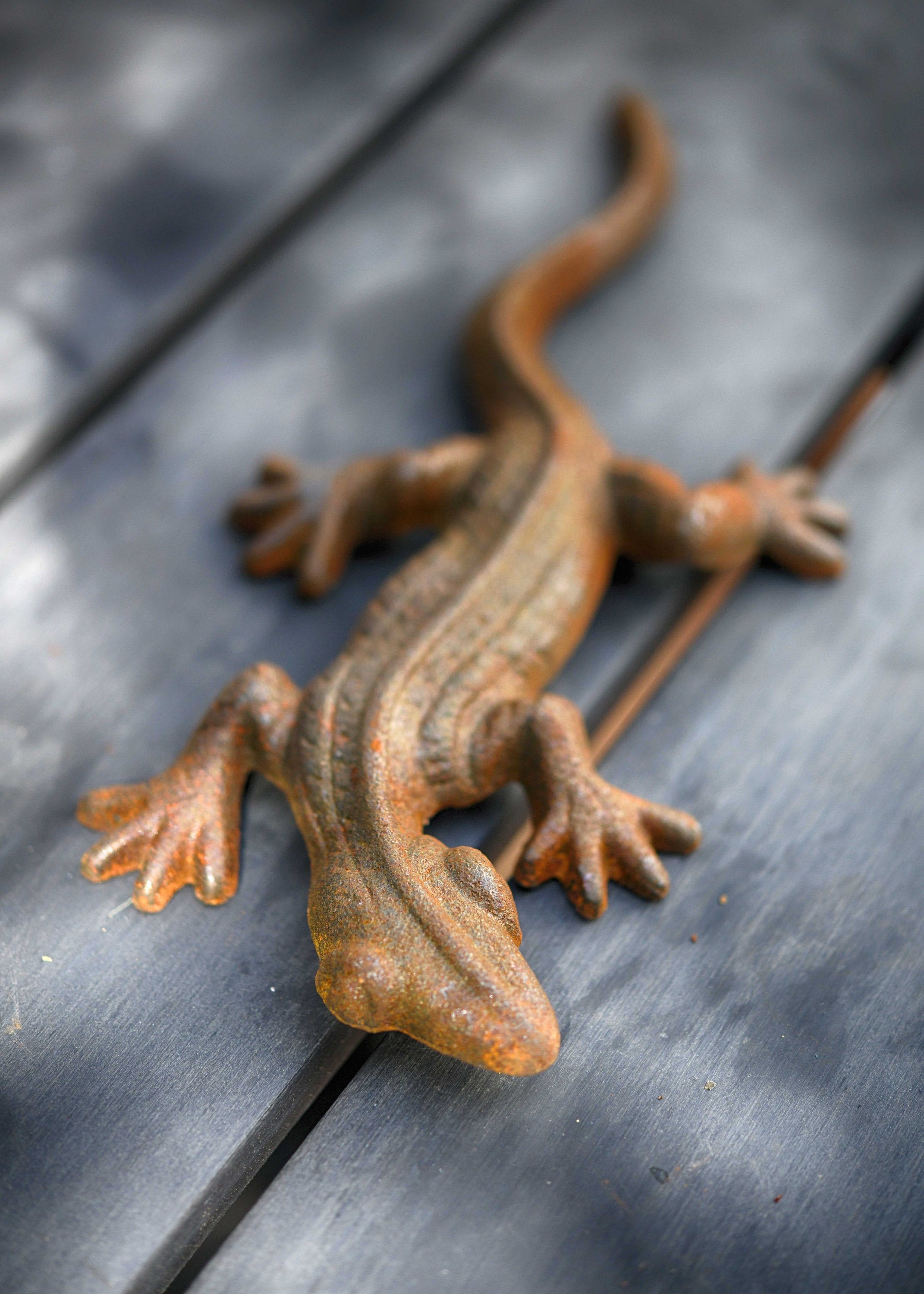 Rusty Lizard garden decor | Etsy