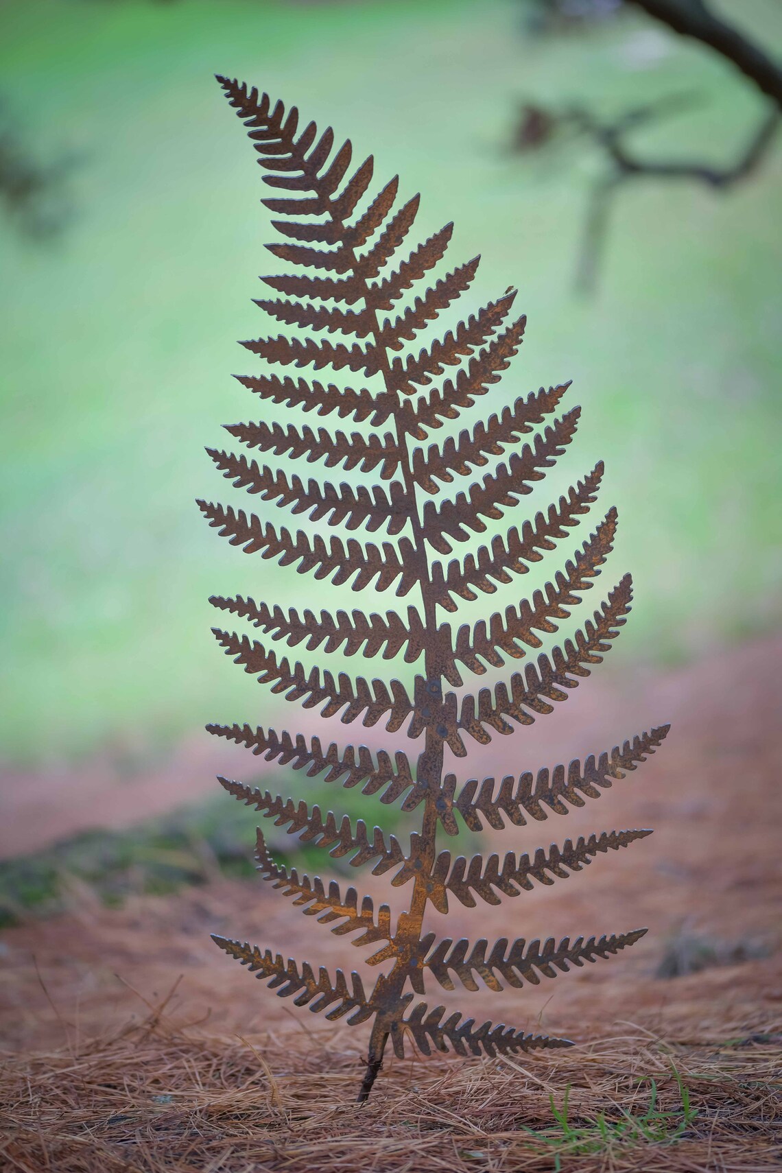 Megaphylls Fern Leaf Sculpture - Etsy