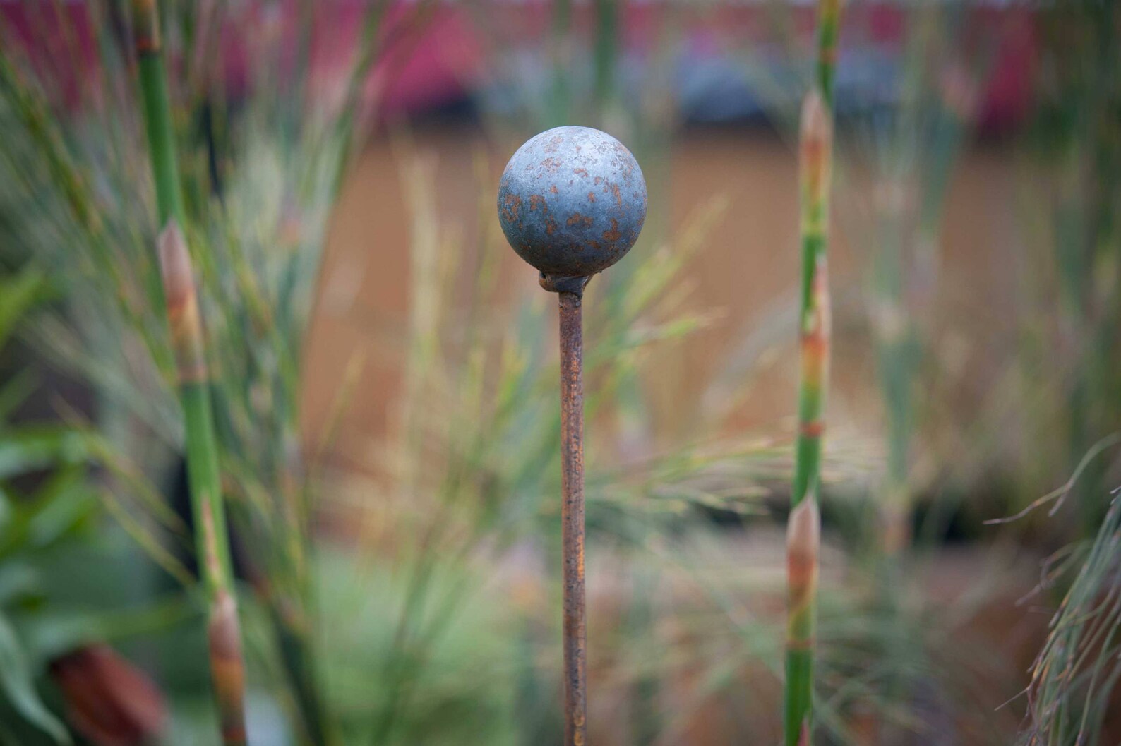Sphere Plant Support - Etsy