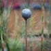 Sphere Plant Support - Etsy