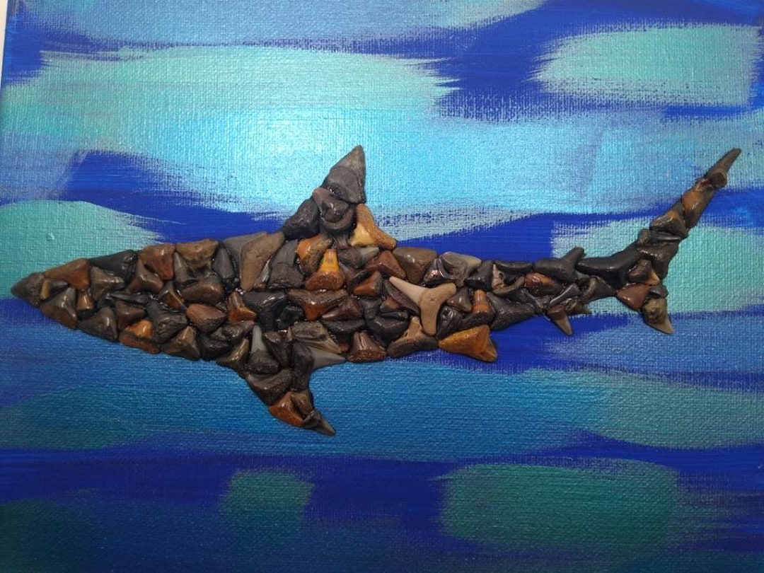 Make Yer Own Shark Art Kit Reef Shark 8x10 - Etsy