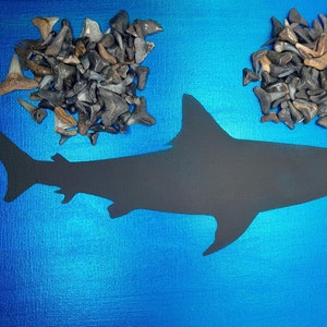Make Yer Own Shark Art Kit Reef Shark - 8x10" - Etsy