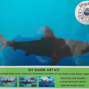 Make Yer Own Shark Art Kit Reef Shark - 8x10" - Etsy