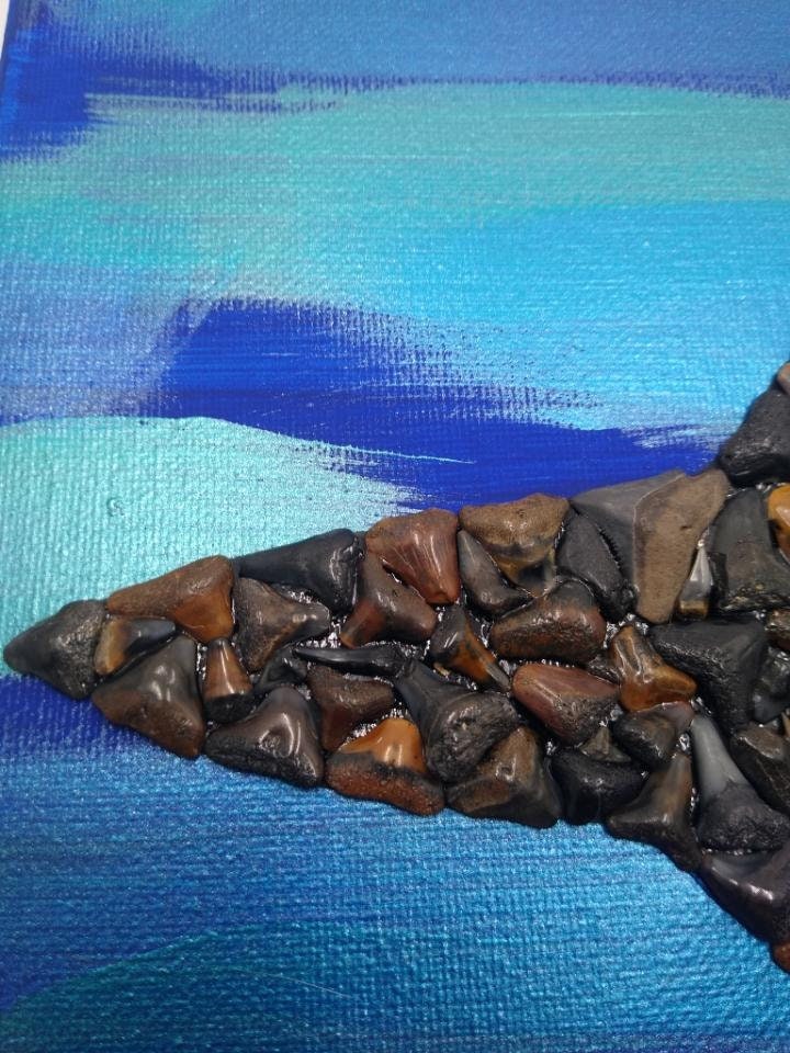 Make Yer Own Shark Art Kit Reef Shark | Etsy