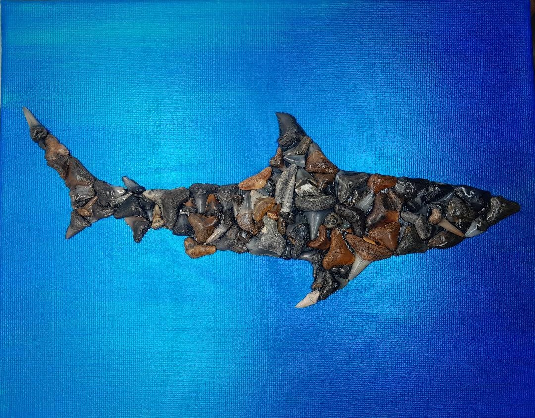 Make Yer Own Shark Art Kit Reef Shark - 8x10" - Etsy