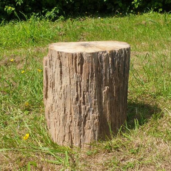 Wood Stump - Etsy