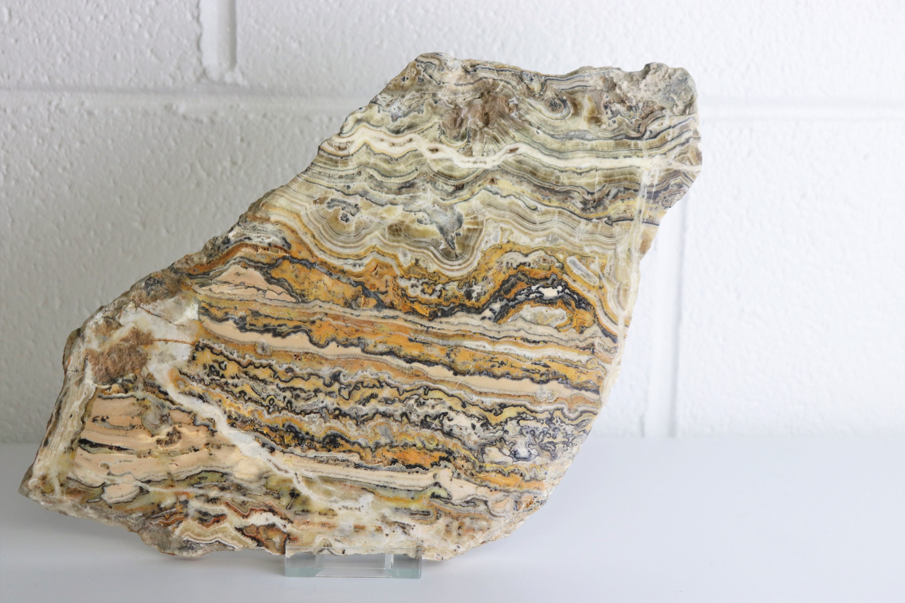 Large Bumble Bee Calcite Crystal Slice 31cm - - Etsy