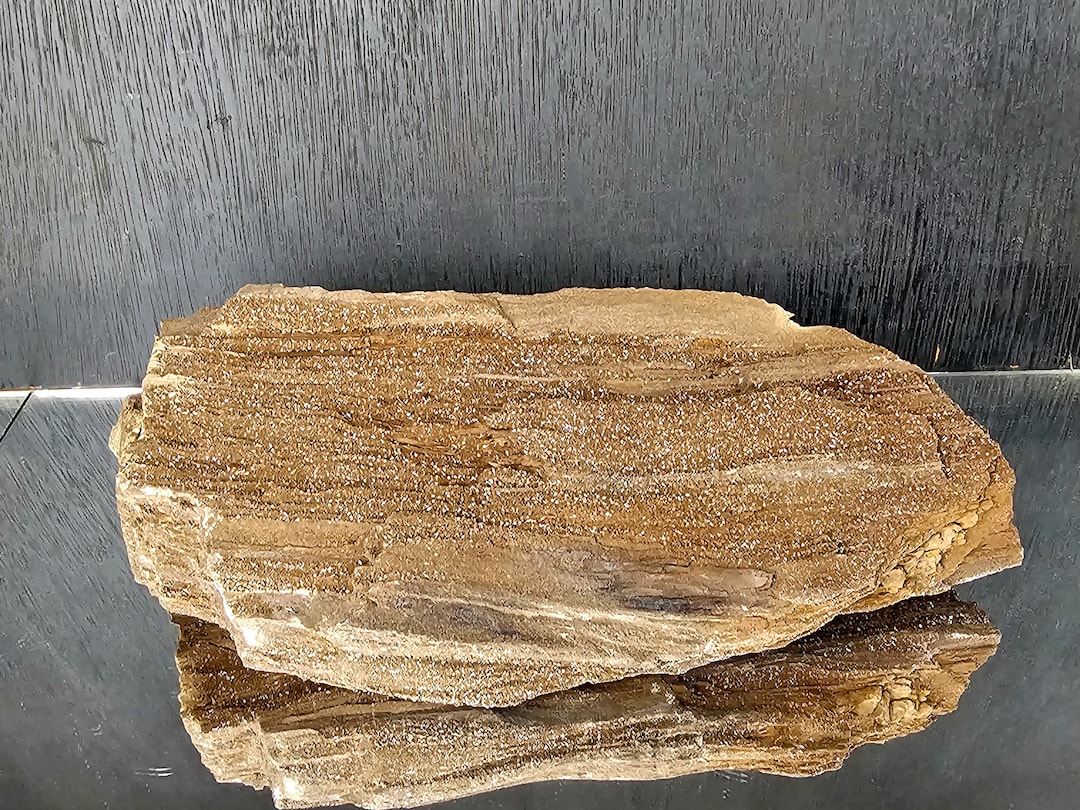 Fossil Wood Quartz Crystal Druze Rare Petrified Wood Germany (#8) - Etsy