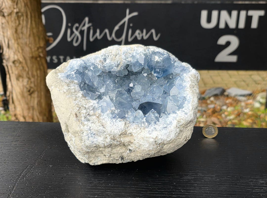 Extra Large Celestite Crystal Cluster | Natural Blue Celestine Mineral ...