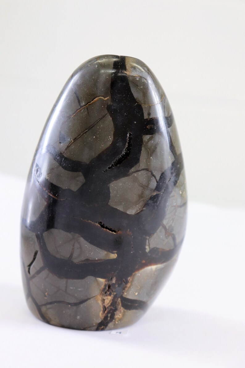 19) Large Septarian Dragon Stone Calcite Crystal Freeform / Natural ...