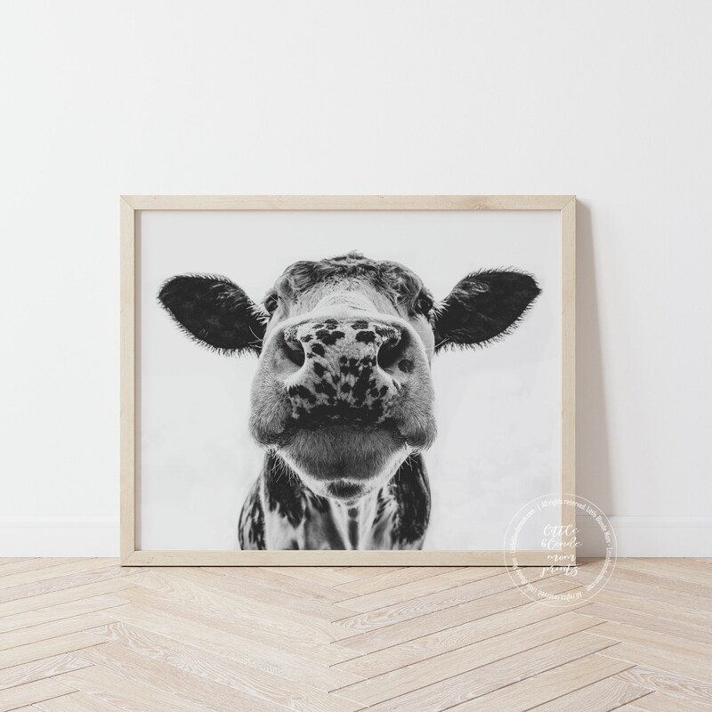 Dairy Cow Art - Etsy