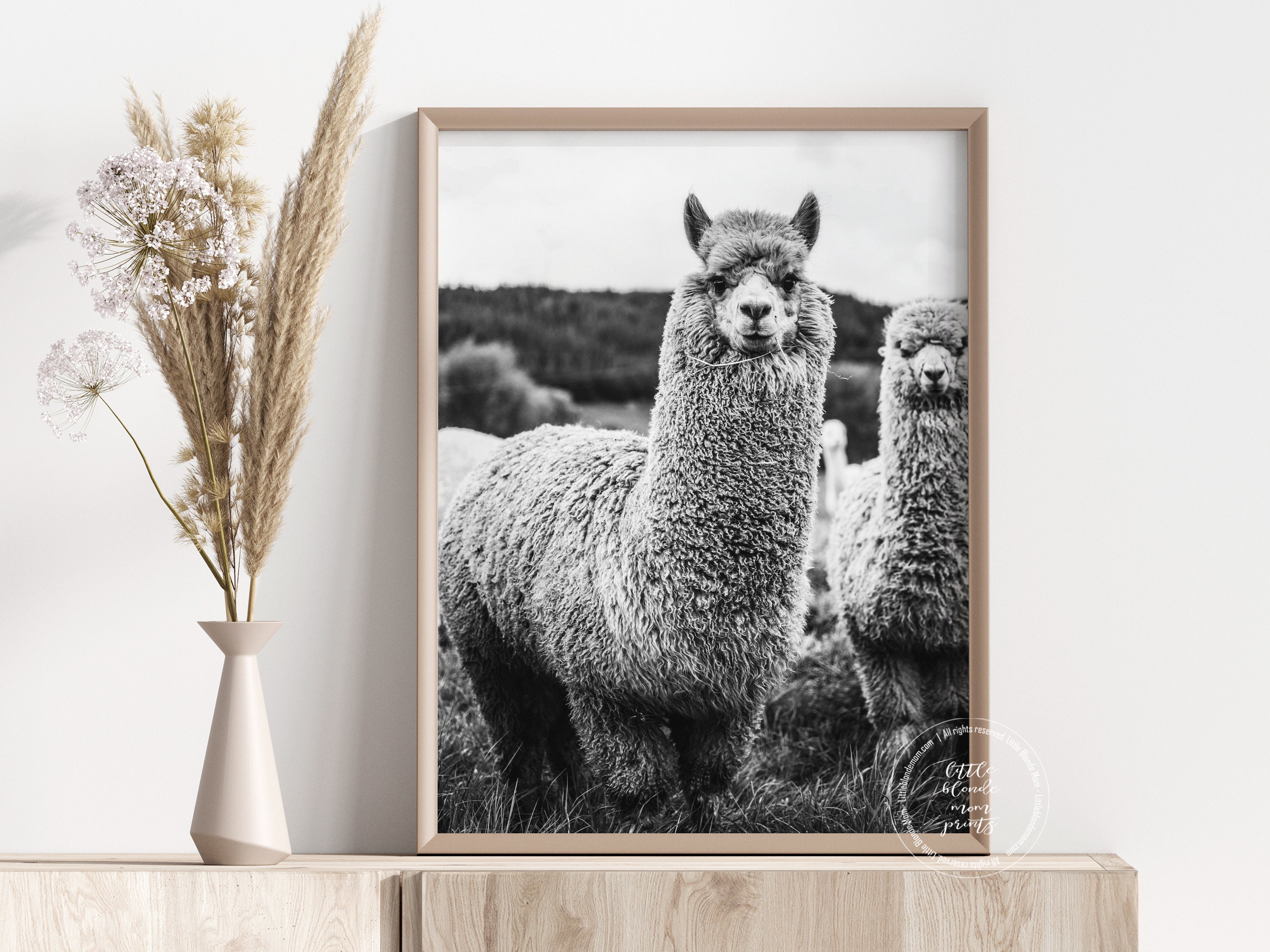 Llama Poster Print | Farmhouse Decor | Animal Wall Art | Farm Animal ...