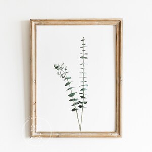 Botanical Poster Prints | Set of 6 | Eucalyptus Wall Art | Palm Plants ...