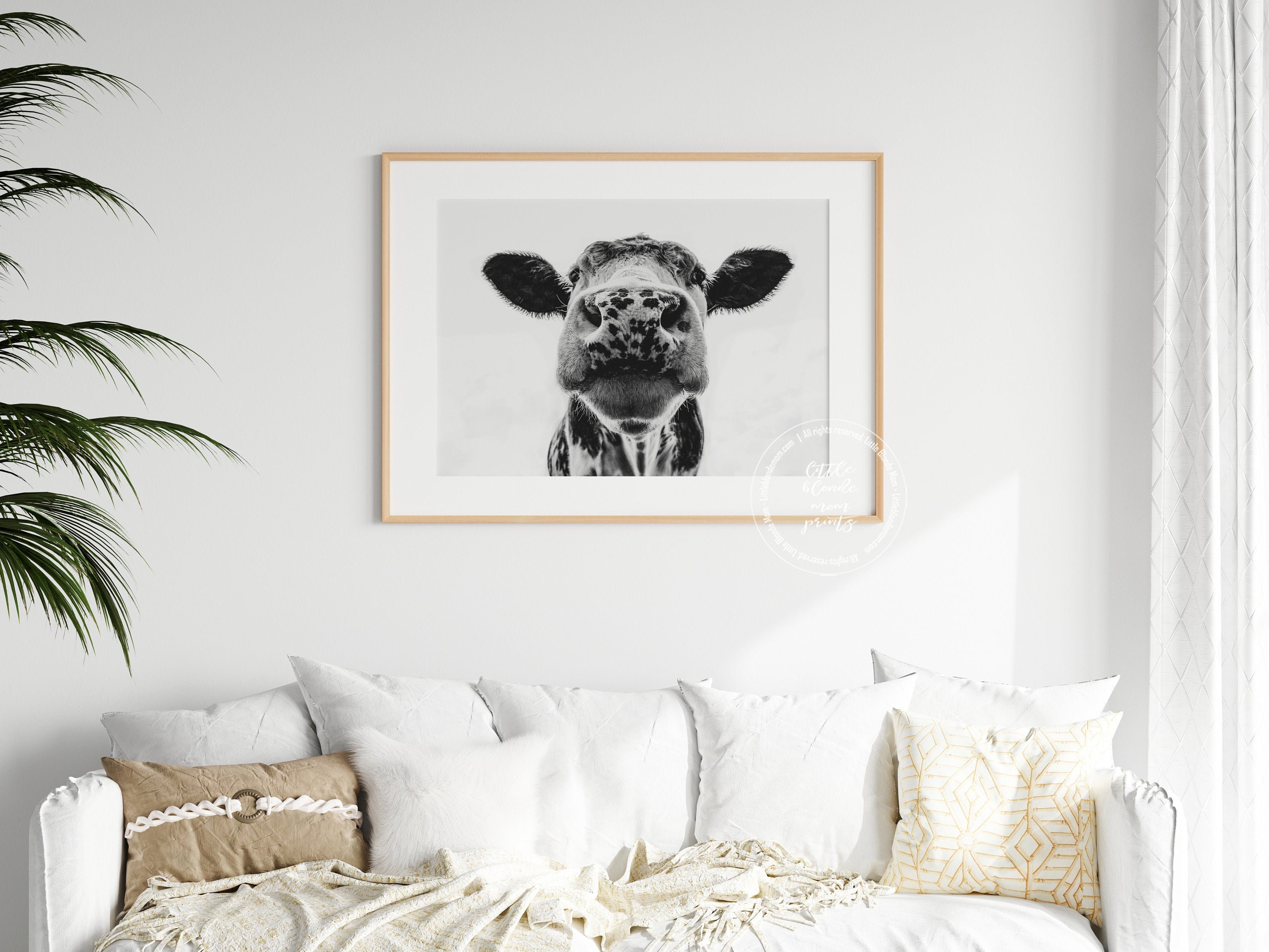 Dairy Cow Face Close up Poster Print | Farmhouse Decor | Animal Wall ...