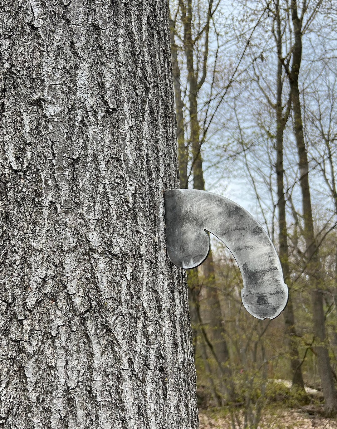 Tree Penis - Etsy