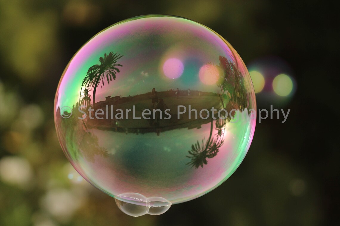 Bubble Picture - Palm Tree Picture - Spain Photo - Bubble Wall Art ...
