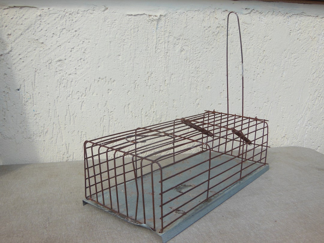 1980 Working Mouse Trap , Vintage Mousetrap , Old Rodent Trap Large ...