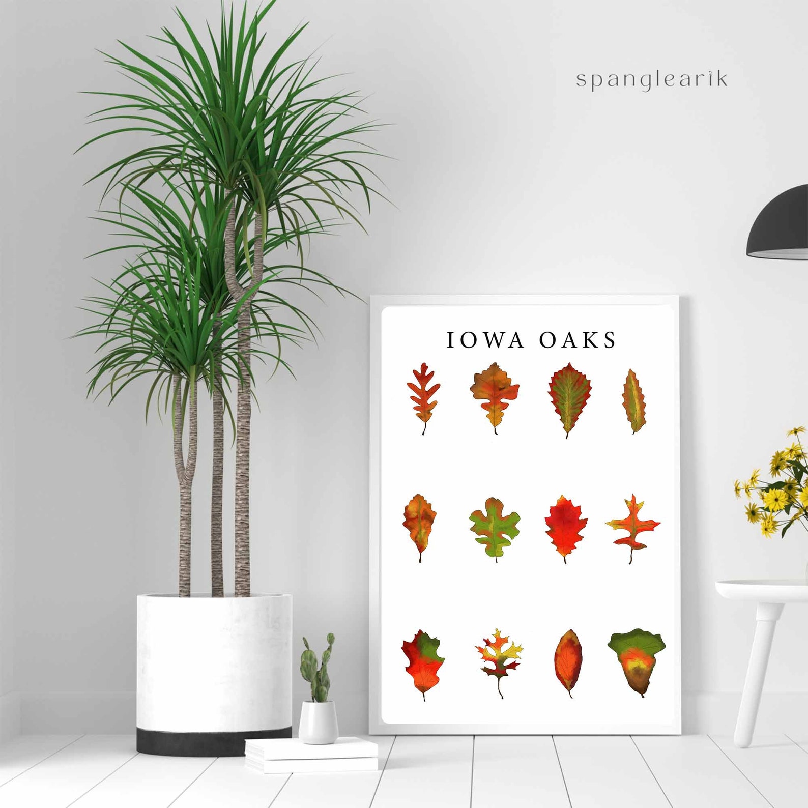 Iowa Oak Tree Identification Poster Plus Coloring Page Digital Download ...