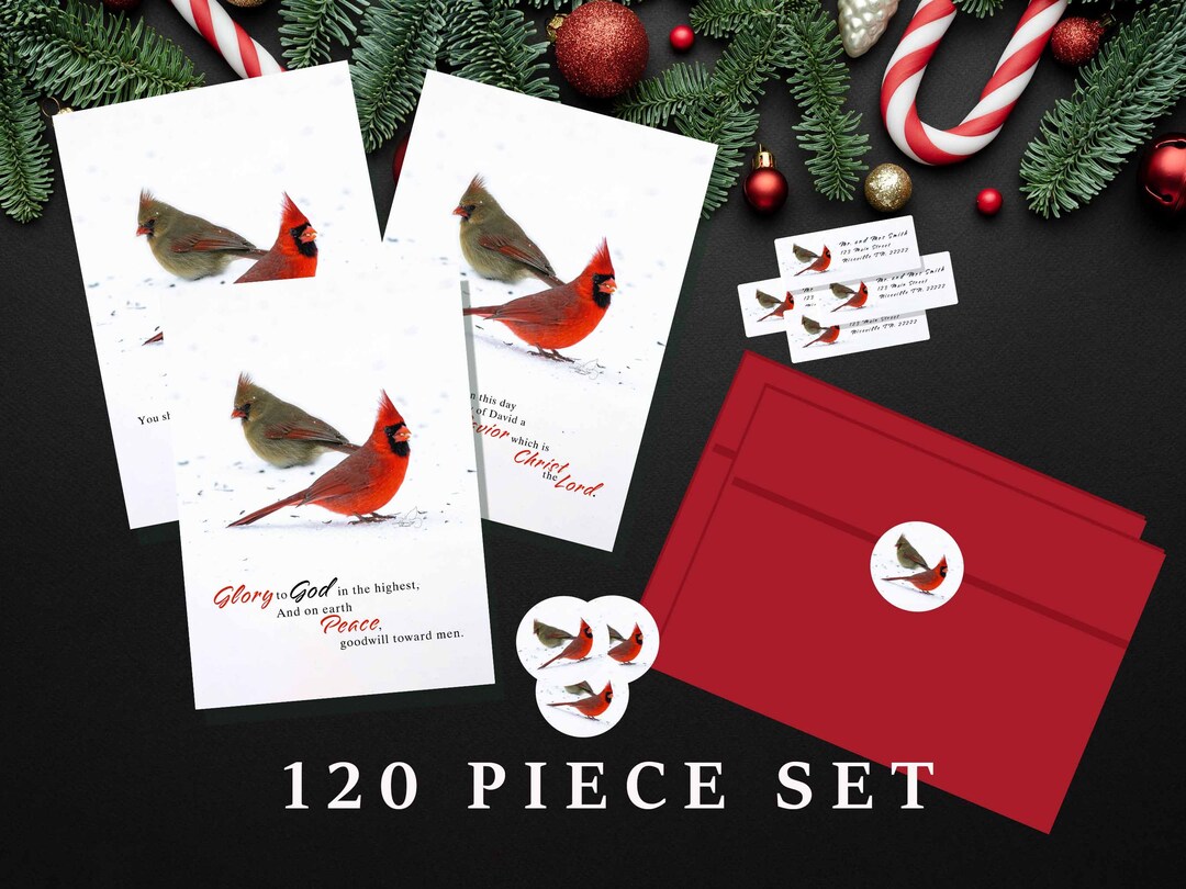 Red Cardinal Holiday Card Set: Bible Verse Greeting Cards, Seals ...