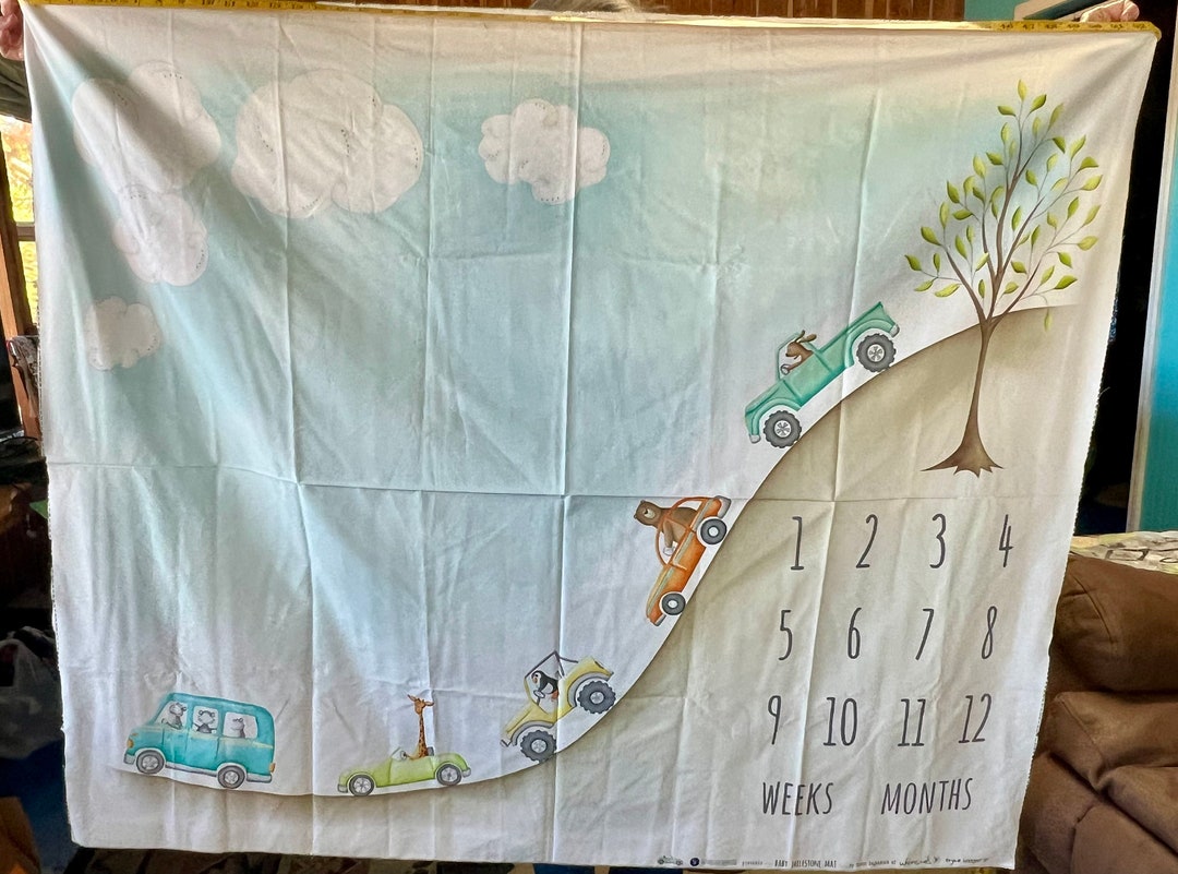 Windham Fabrics Baby Milestone Mat by Terri Degenkolb 51988DP Baby Mat ...