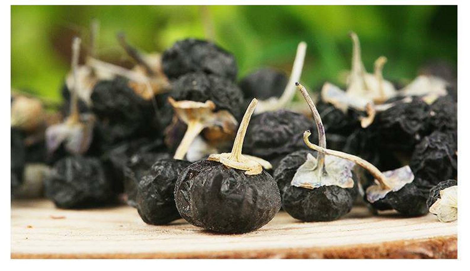 Schwarze Goji Beere Lycium ruthenicum Himalaya Black - Etsy.de