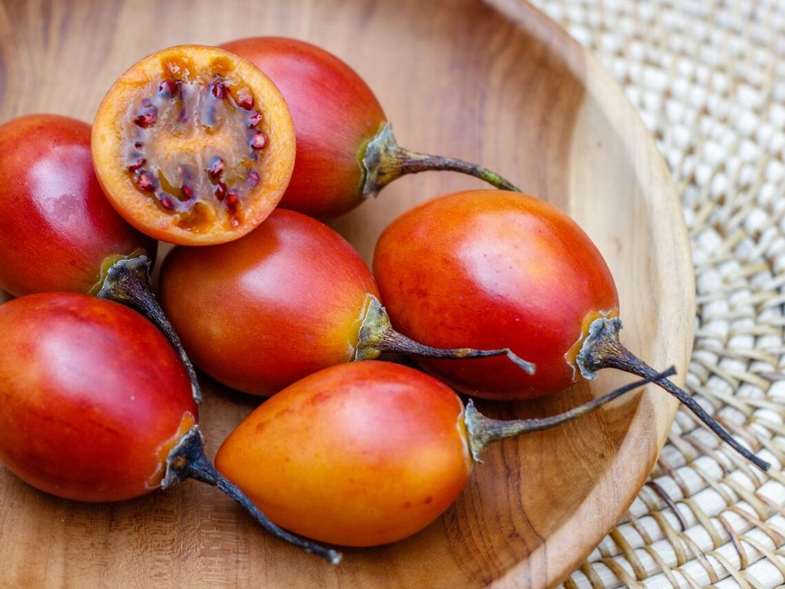 Red Tamarillo Seeds ~solanum Becateum~ Cyphomandra Becatea ~ Tree ...