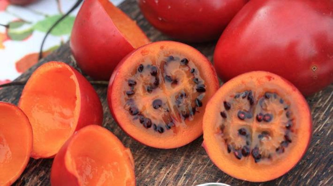 Red Tamarillo Seeds ~solanum Becateum~ Cyphomandra Becatea ~ Tree ...