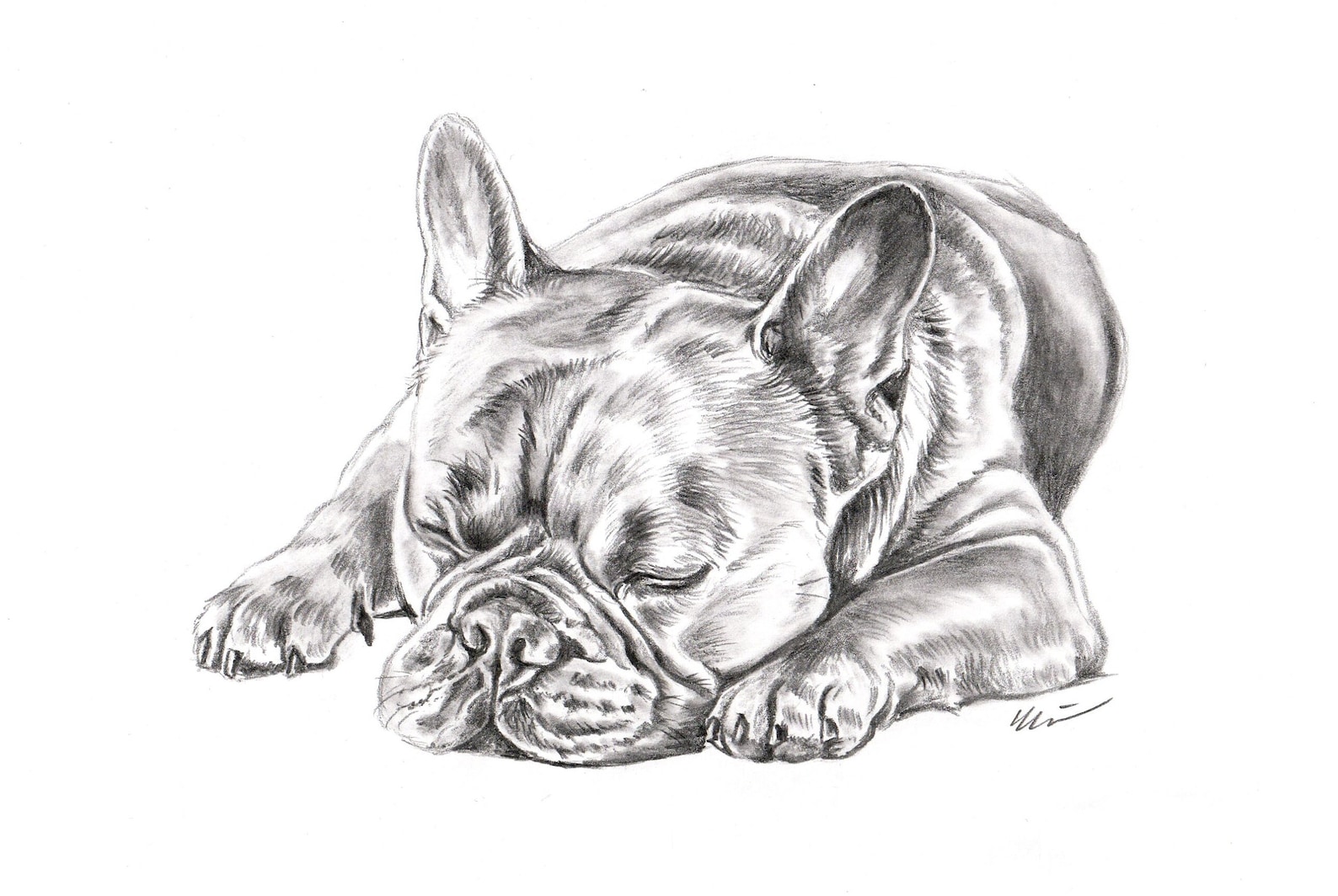 French Bulldog Pencil Sketch Print, Frenchie Print, French Bulldog ...