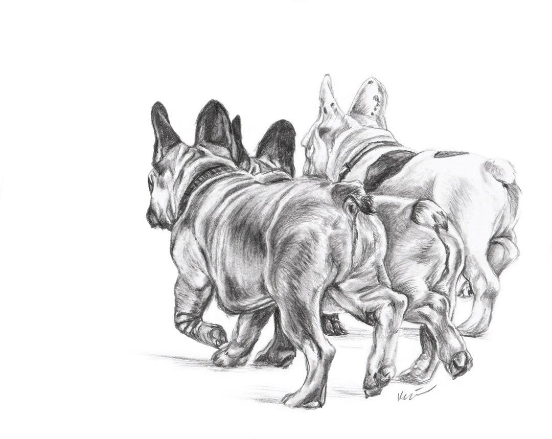 French Bulldog Pencil Sketch Print, Frenchie Lover Gift, French Bulldog ...
