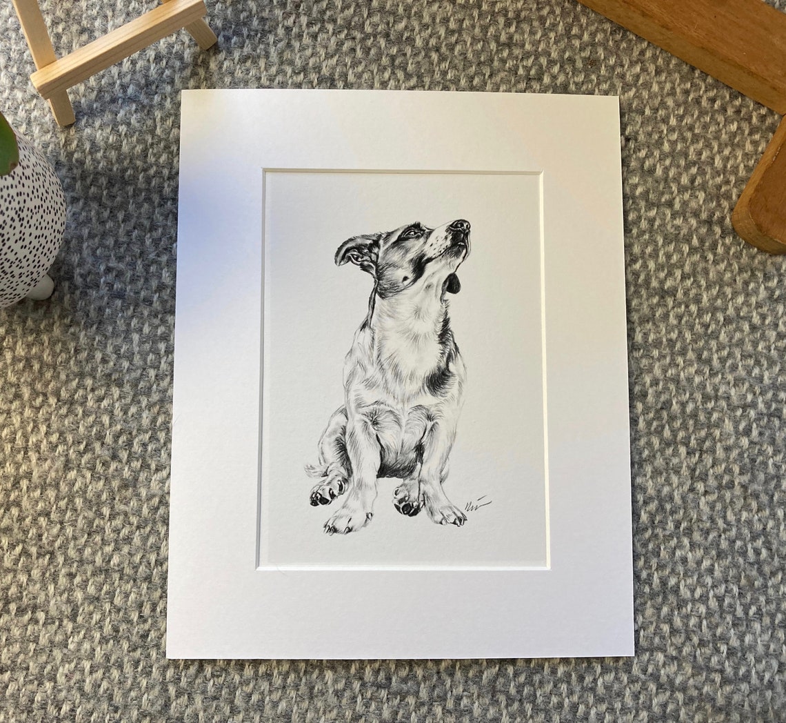 Jack Russell Terrier Pencil Sketch Print, Jack Russell Print, Jack ...