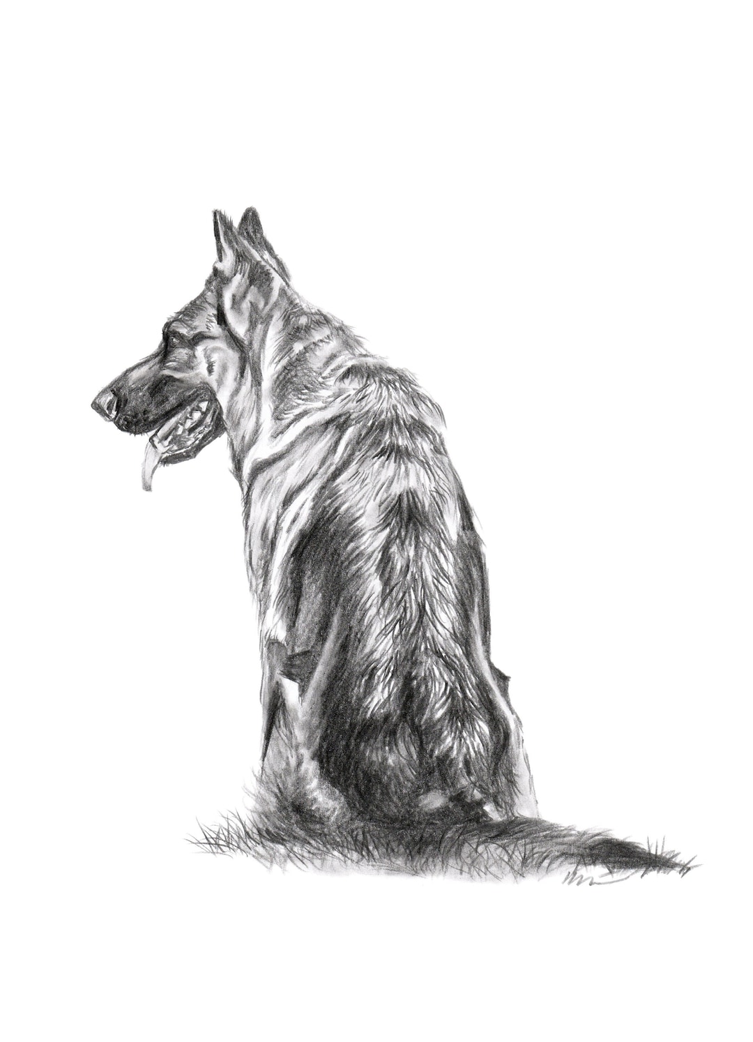 German Shepherd Original Pencil Sketch, German Shepherd Lover Gift ...