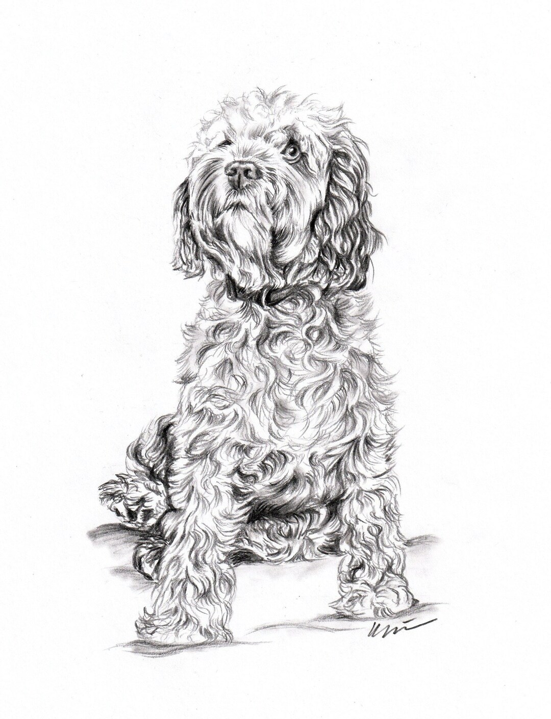 Cockerpoo Pencil Sketch Art Print: Dog Owner Gift - Etsy UK