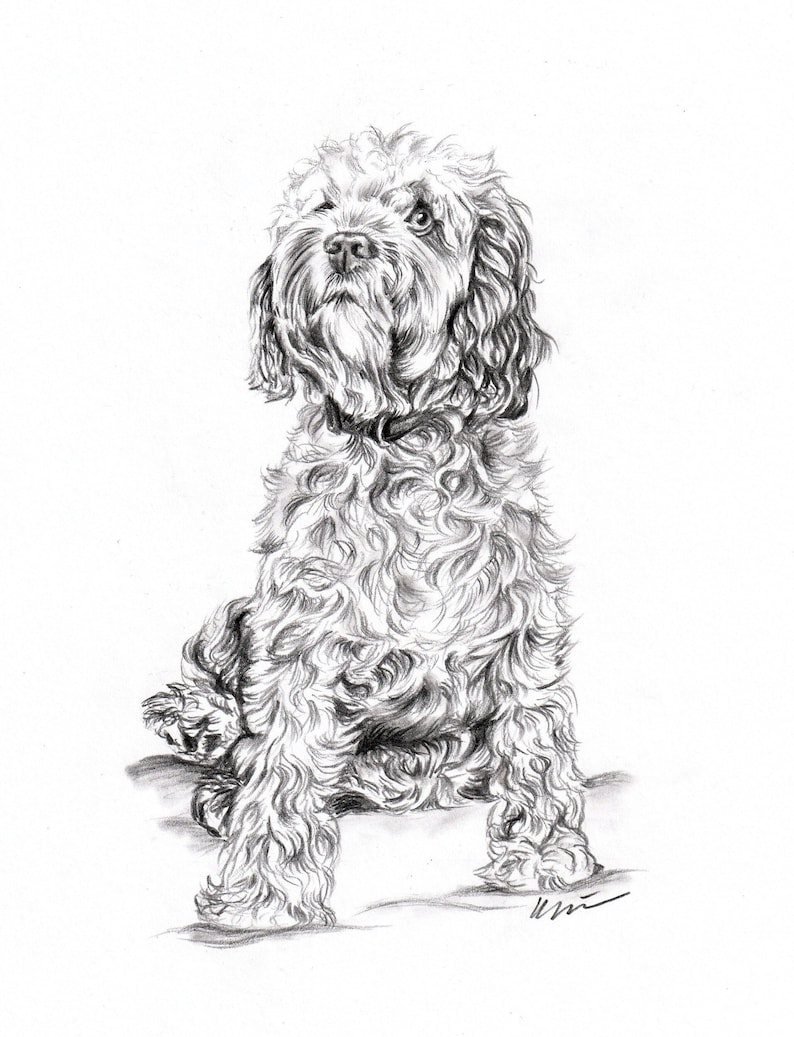 Cockerpoo Pencil Sketch Print, Cockerpoo Owner Gifts, Cockerpoo Art ...