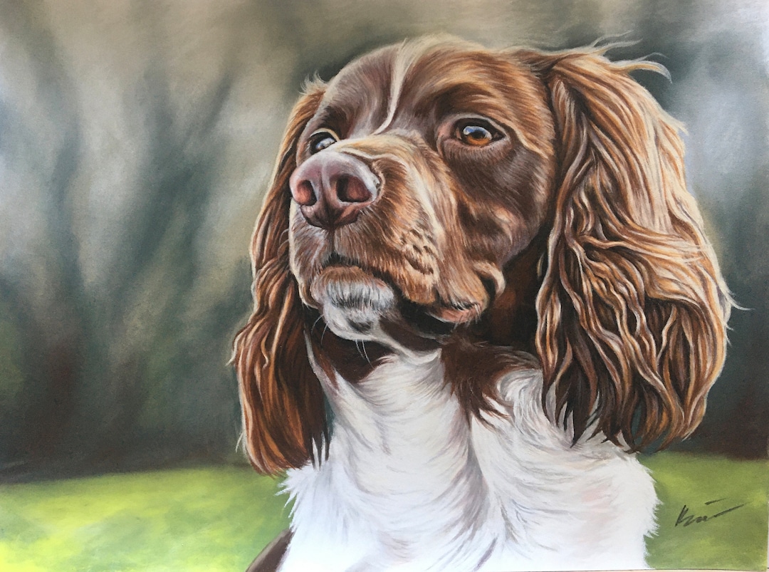 Springer Spaniel Original Pastel Drawing, Springer Spaniel Original Art ...