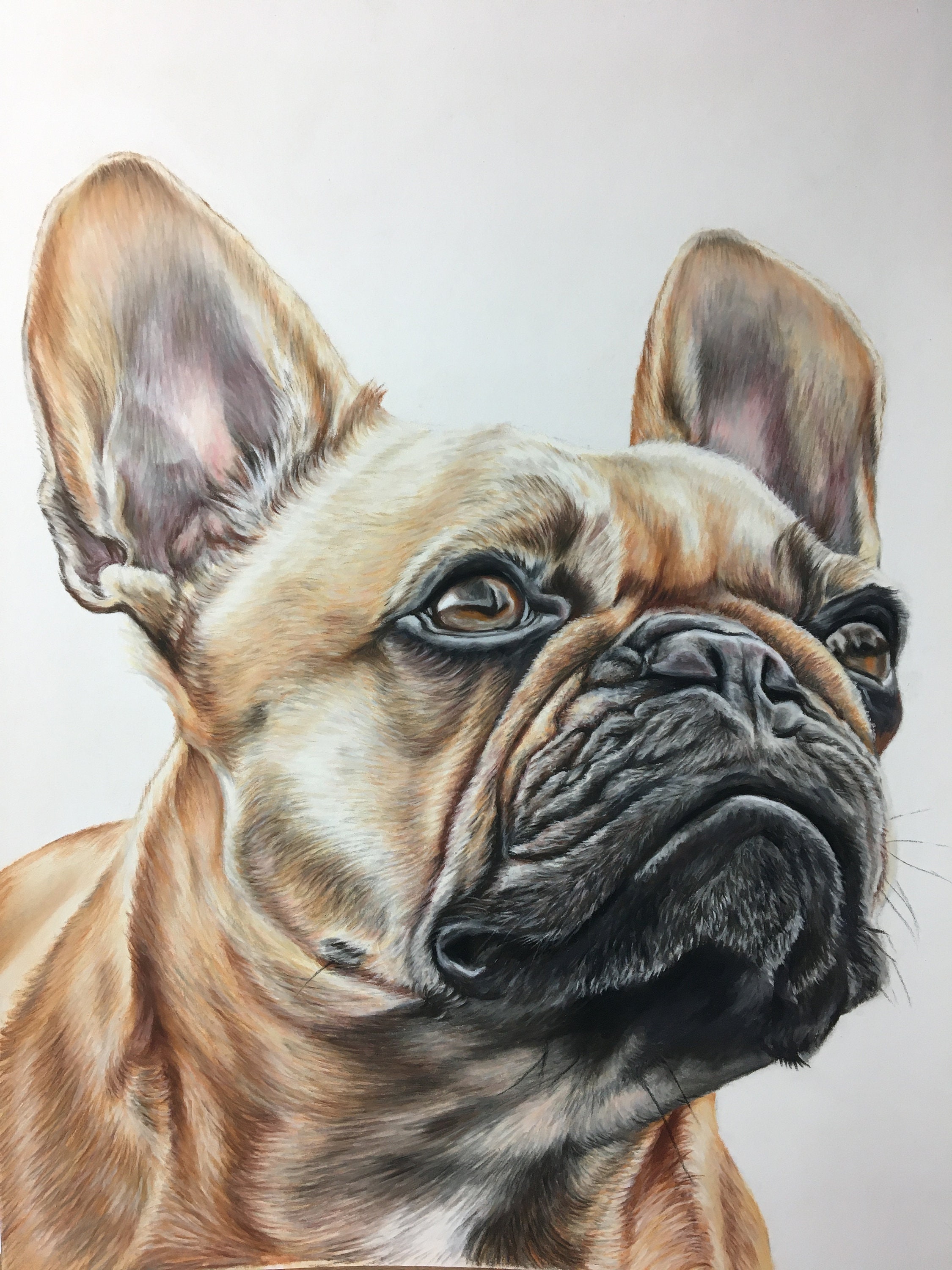 Bespoke Pastel Pet Portrait From Your Photo 12x16 Inch - Etsy
