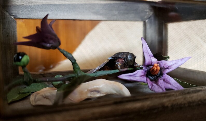 Death's Head Hawk Moth and Nightshade Plant Sculpture in Vintage Wooden ...