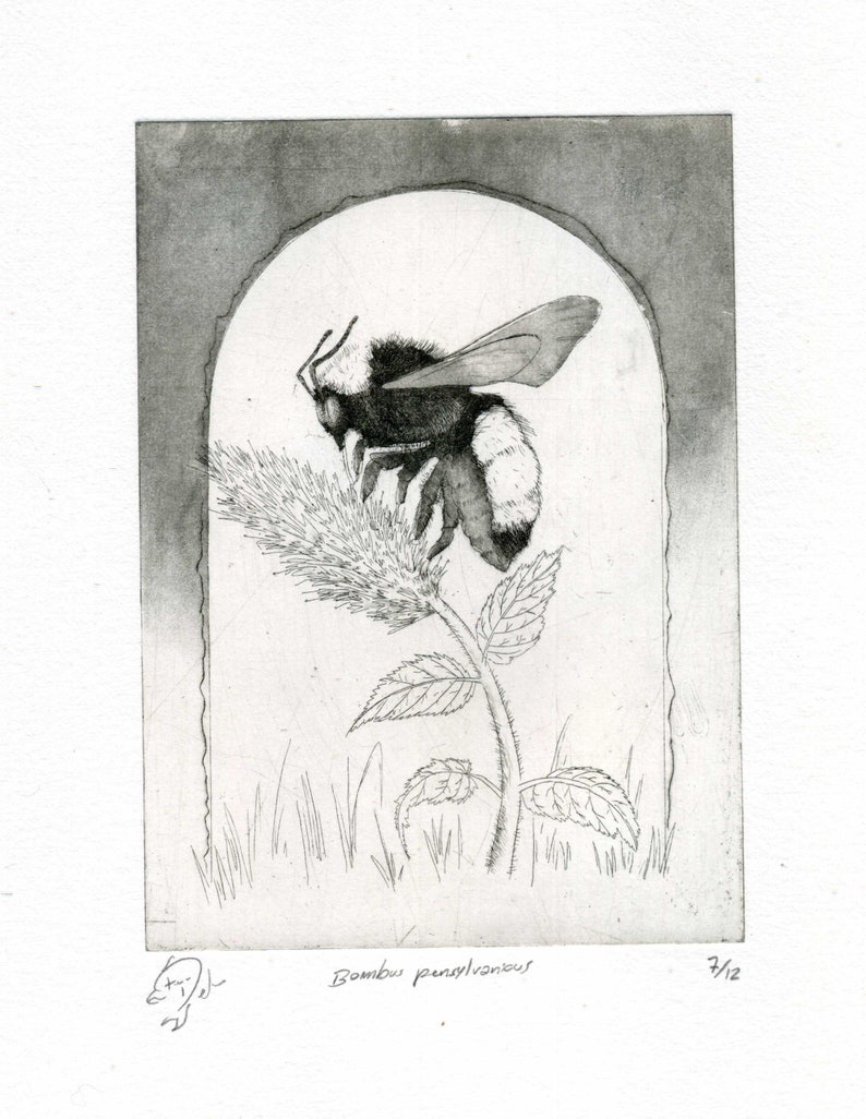 Handmade Bumble Bee Etching Print Vintage Style Wall Art for Home Decor - Etsy