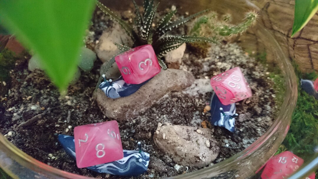 Polymer Clay Snail Gaming Dice Resin Dice - Etsy UK