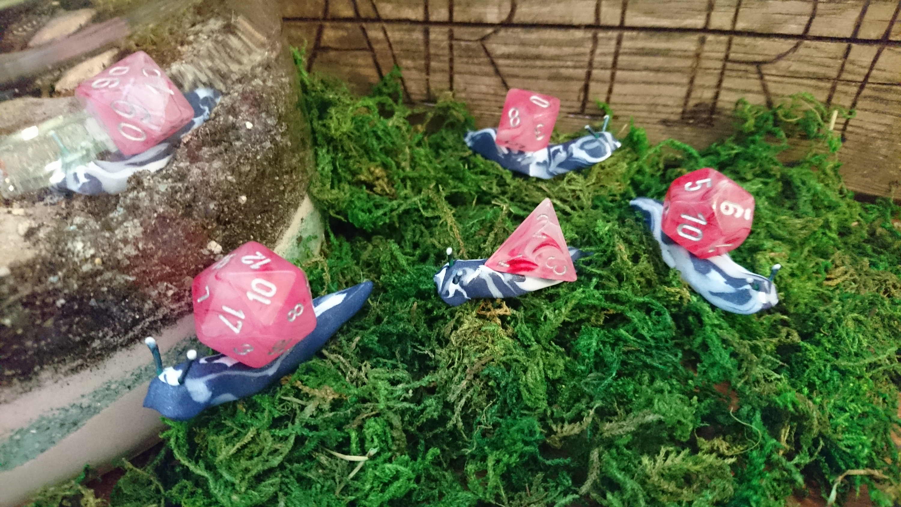 Polymer Clay Snail Gaming Dice Resin Dice - Etsy UK