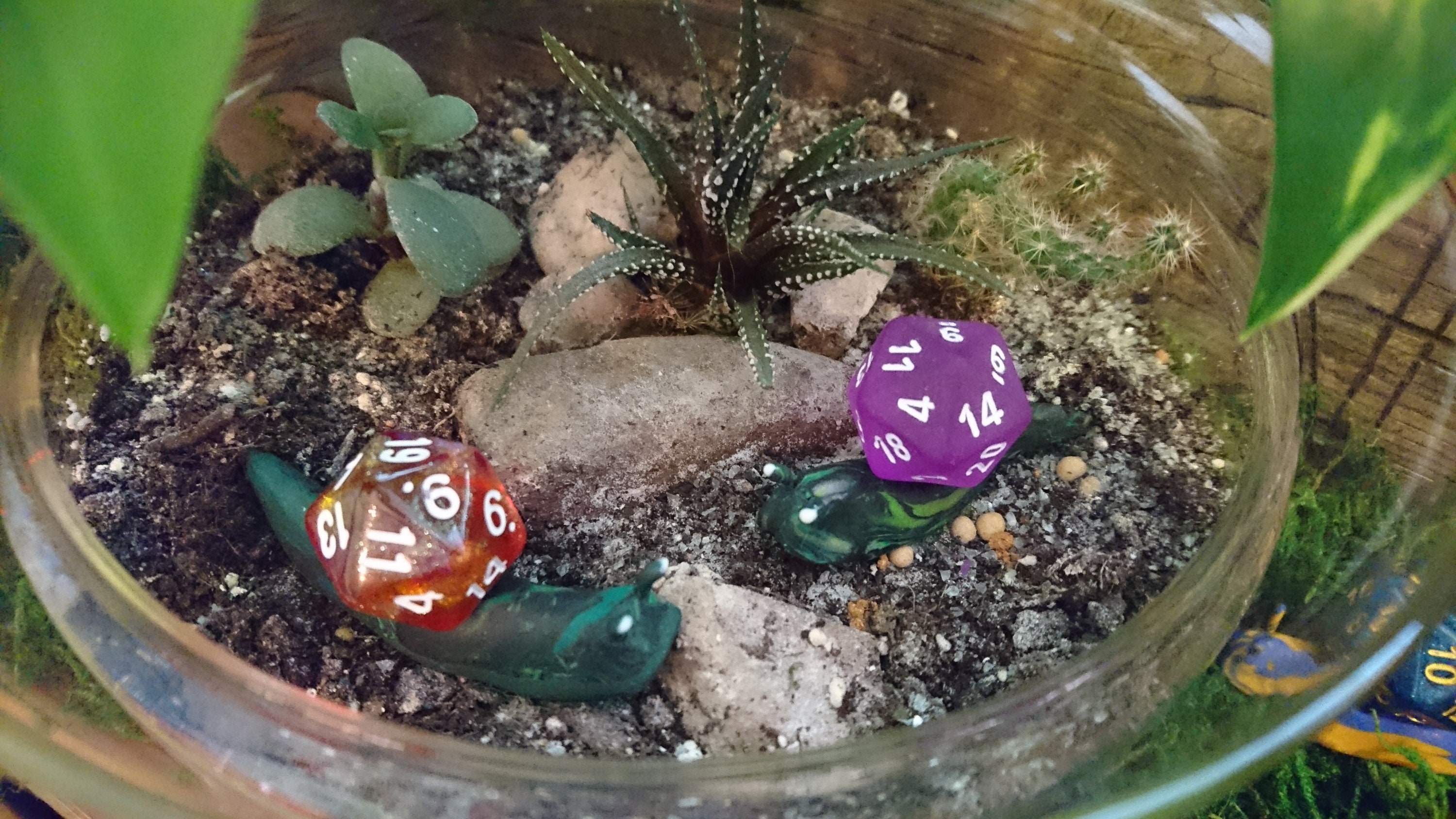 Polymer Clay Dice Carrier Snail D20 - Etsy