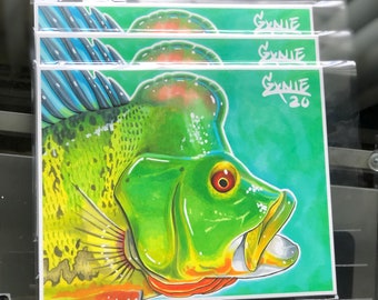 JUNGLE PEACOCK BASS Paper Print - Etsy